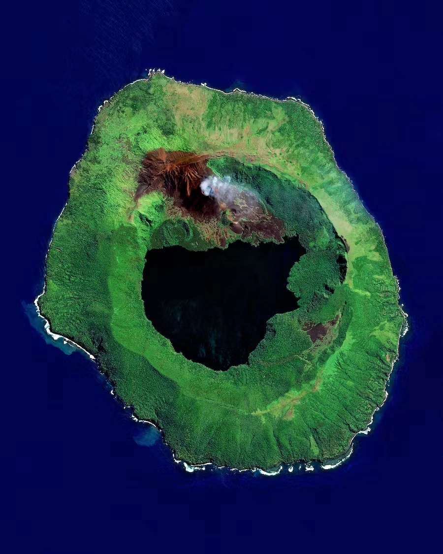 Tofua | Wiki Miller the cockroach team | Fandom