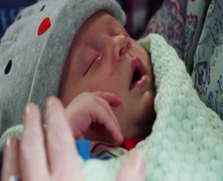 Hector | Millie Inbetween Wikia | Fandom