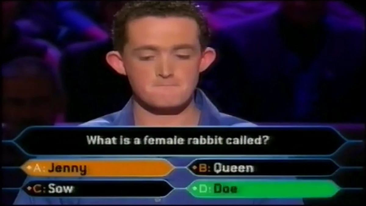 Patrick Hoey | Who Wants To Be A Millionaire Wiki | Fandom