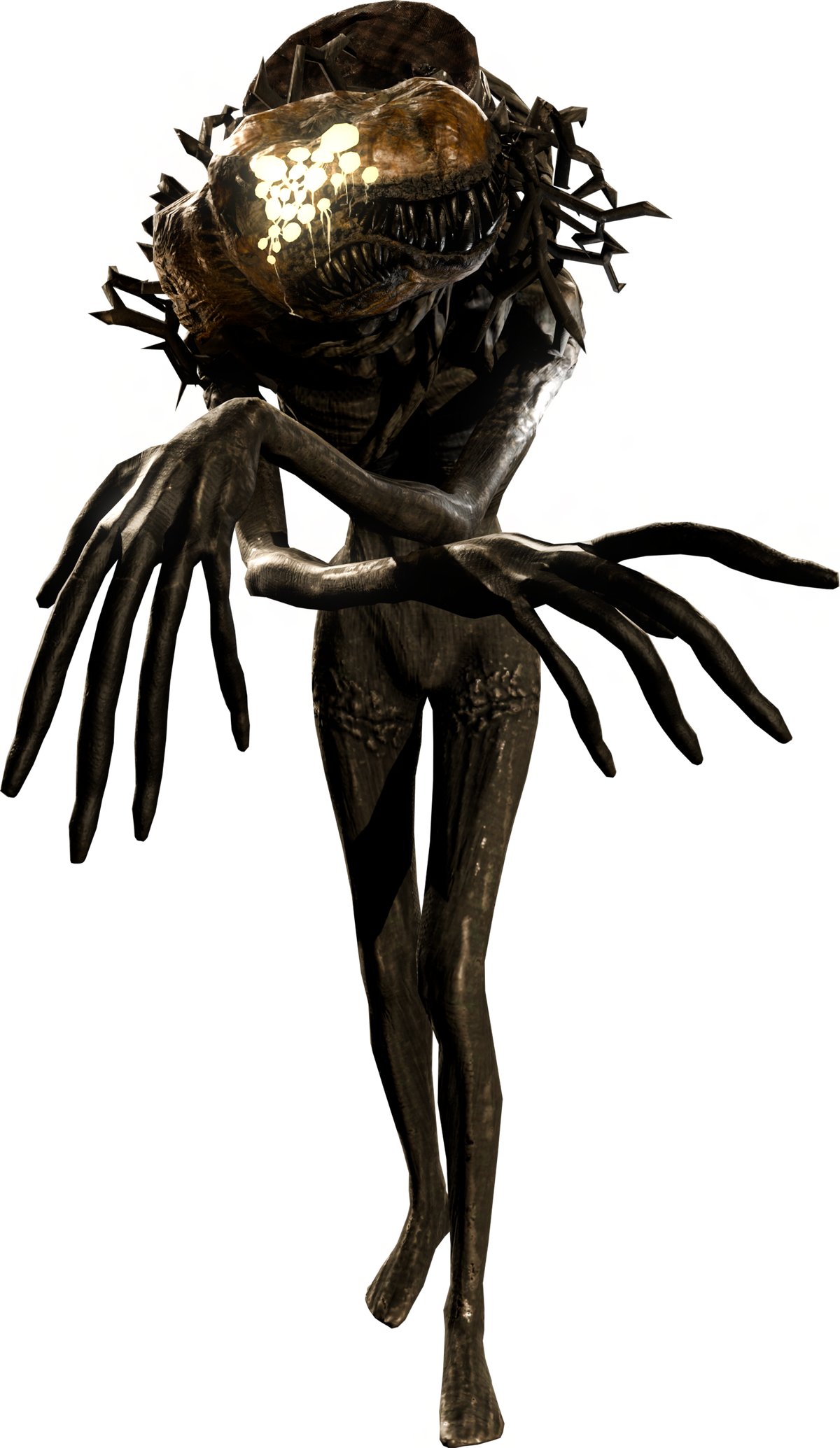 Kabochas Gallery The Mimic Wiki Fandom