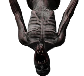 Unknown and Irrelevant Characters | The Mimic Wiki | Fandom