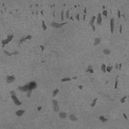 Hyakume's Gallery | The Mimic Wiki | Fandom