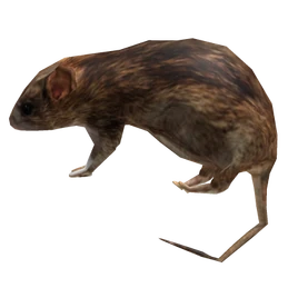 Items | The Mimic Wiki | Fandom