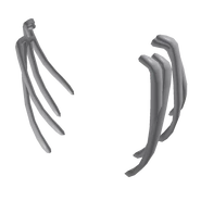 Zuboshi's Gallery | The Mimic Wiki | Fandom