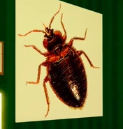 Secret Rooms | The Mimic Wiki | Fandom