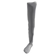 Ryoshi's Gallery | The Mimic Wiki | Fandom