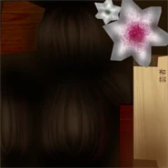 Takane's Gallery | The Mimic Wiki | Fandom