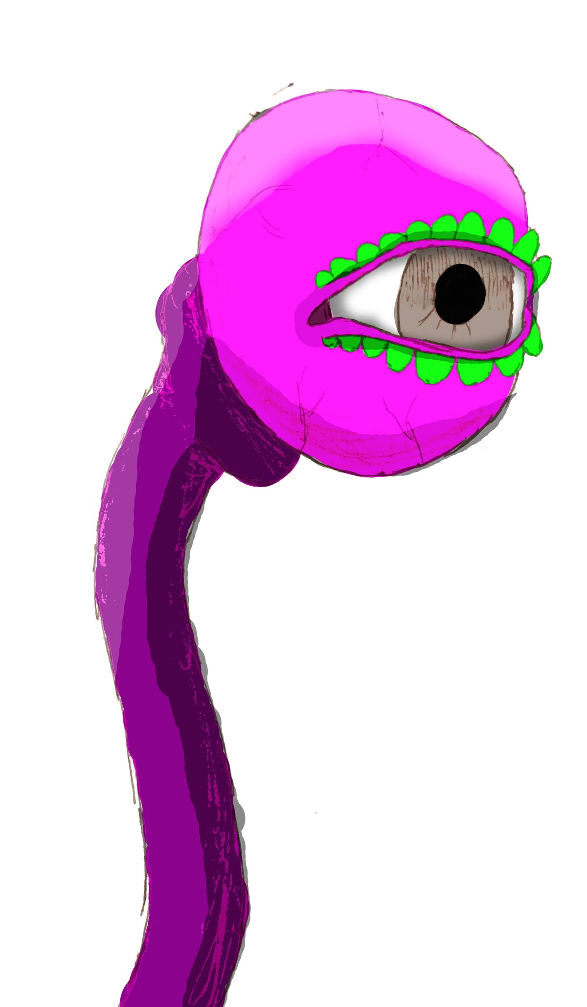The Creature in the Wall (Main Universe) | Mindfudgemythology Wiki | Fandom