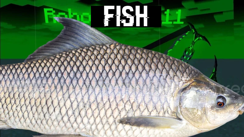 RoboDragon11 | MineAnimate Wiki | Fandom