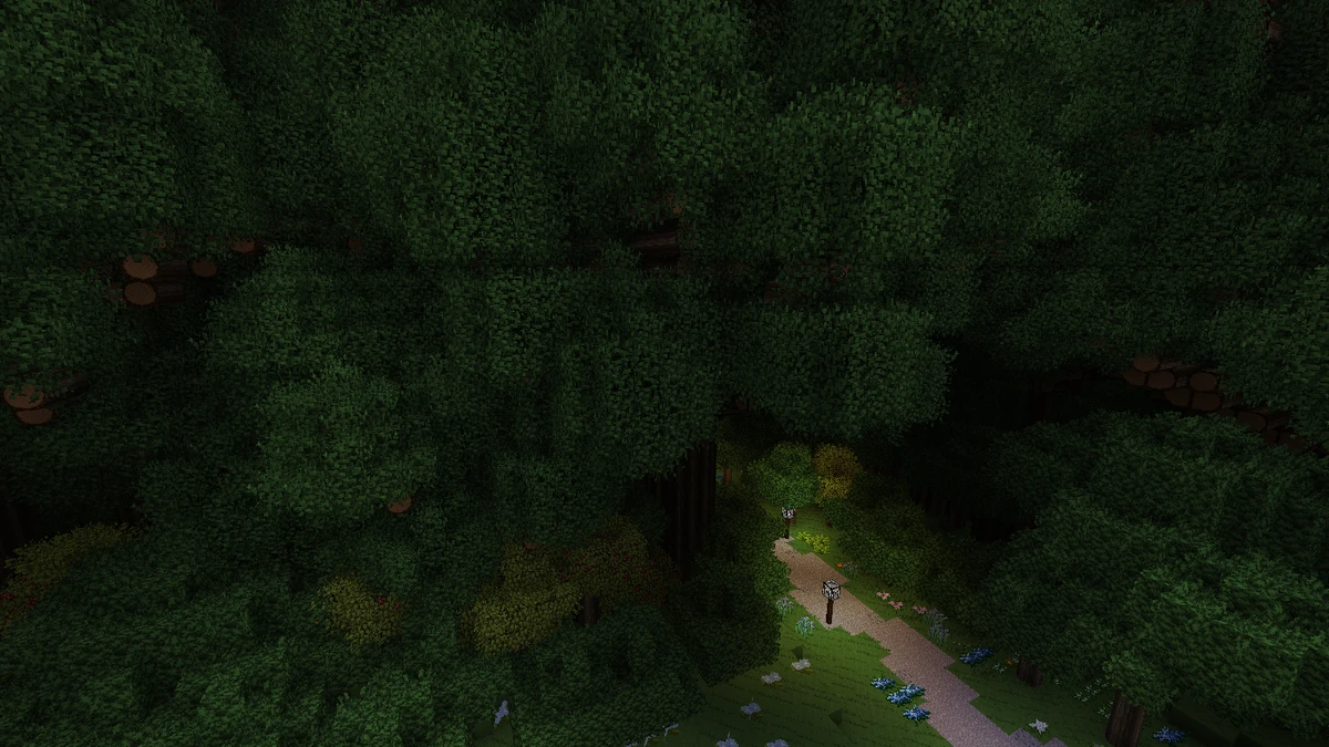 Dark forest | Minecraft Adventures Wiki | Fandom