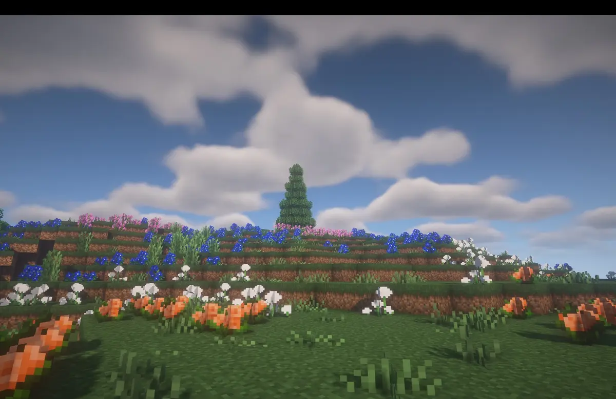 Level E-67 | Backrooms of Minecraft Wiki | Fandom