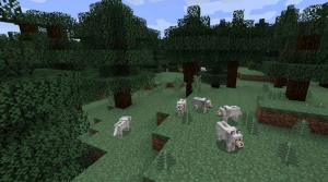 Taiga | Minecraft Biomes Wiki | Fandom