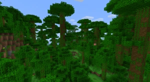Jungle | Minecraft Biomes Wiki | Fandom