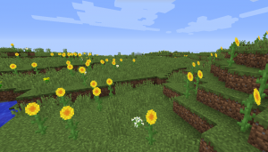Sunflower Plains | Minecraft Biomes Wiki | Fandom