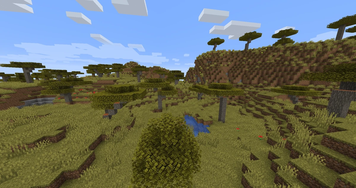 Savanna | Minecraft Biomes Wiki | Fandom