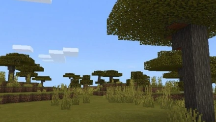 Savana | Wiki Minecraft B&L | Fandom