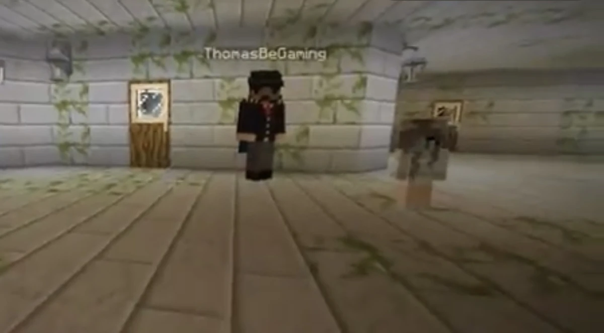 The Basement | Minecraft daycare Wiki | Fandom