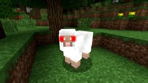 Owca Terroryska | Minecraft Fan Fiction Wiki | Fandom
