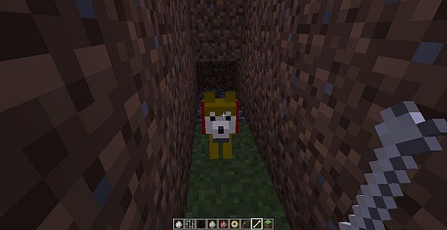 Coyotes | Minecraft fanpage Wiki | Fandom