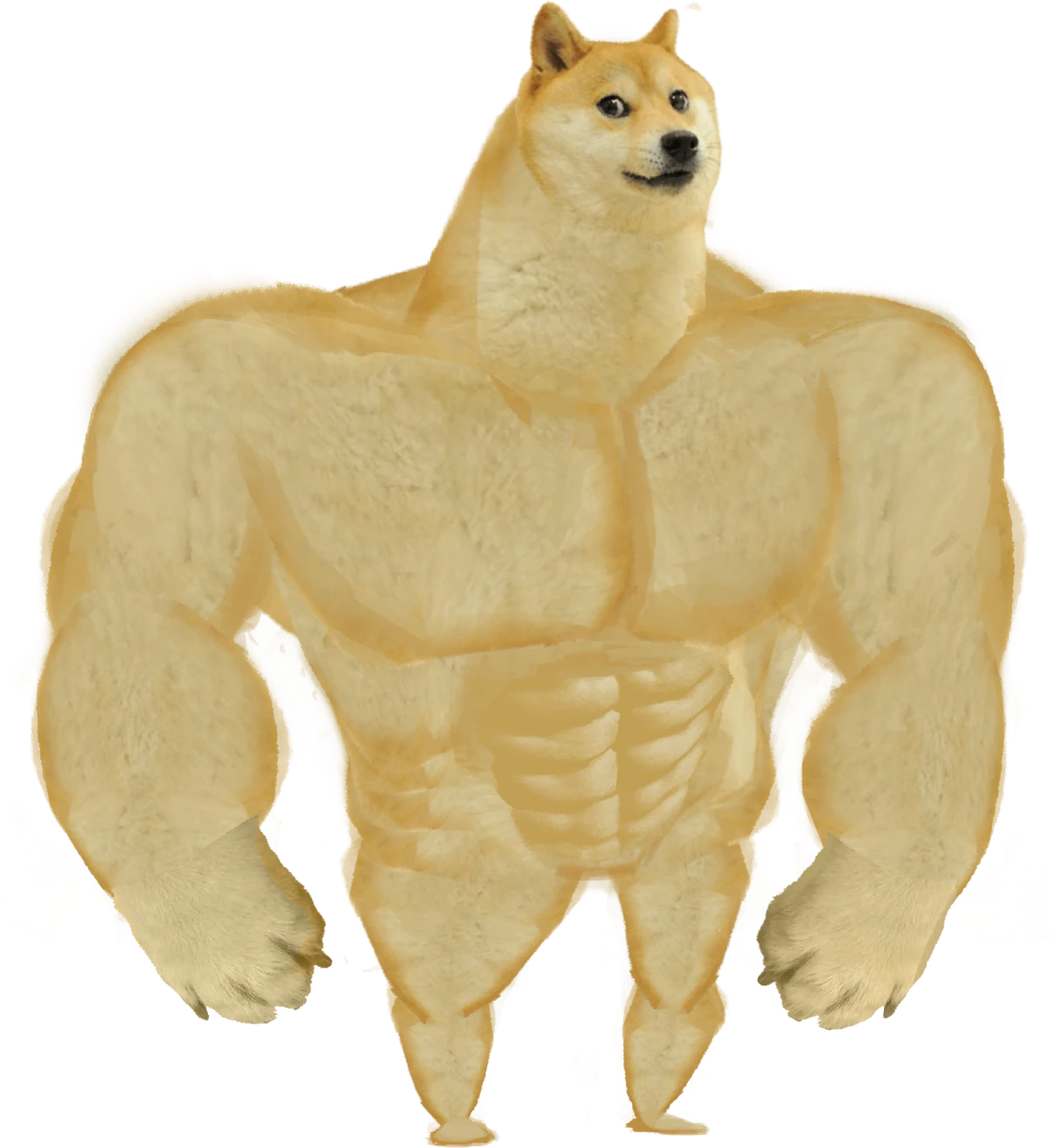 Doge | Minecraft fiction universe Wiki | Fandom