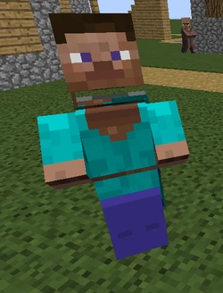 Steve Villager | Minecraft fiction universe Wiki | Fandom