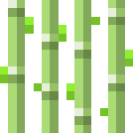 Sugar Cane | Minecraft knowhow Wiki | Fandom