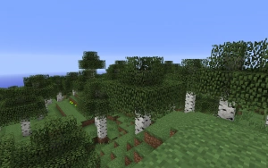 Birch Forest | Minecraft knowhow Wiki | Fandom