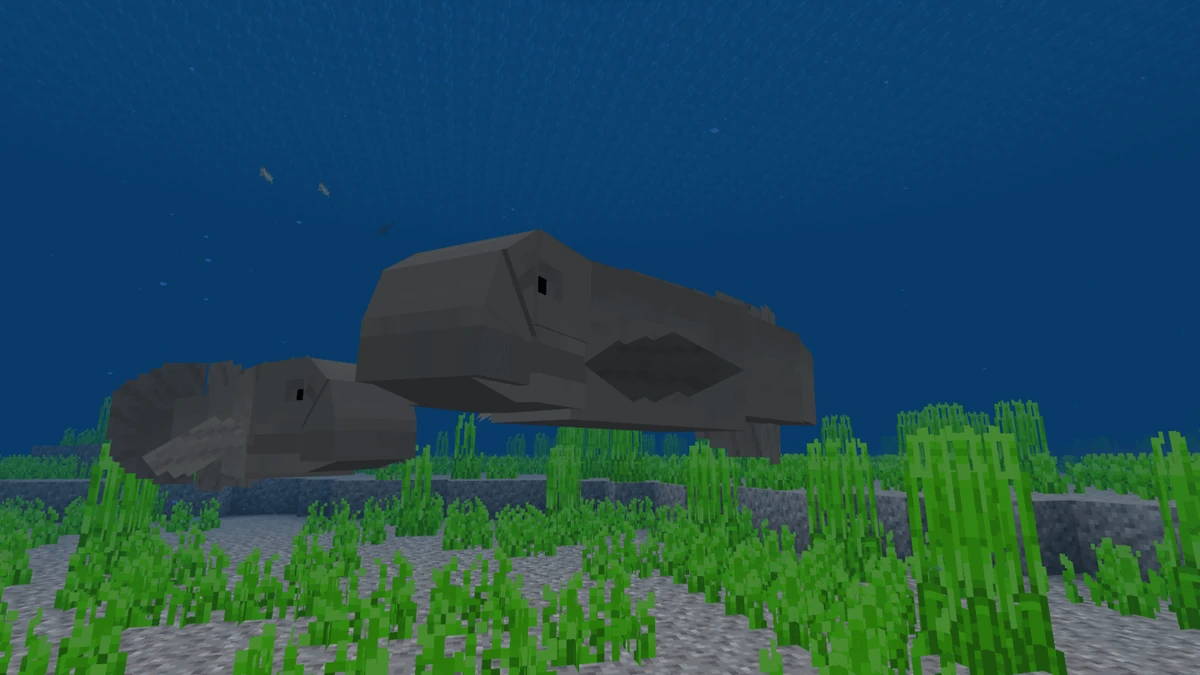 Wolffish | Minecraft Mobs Wiki | Fandom