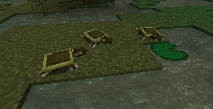 Flapshell Turtle | Minecraft Mobs Wiki | Fandom