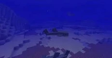 Shark | Minecraft Mobs Wiki | Fandom