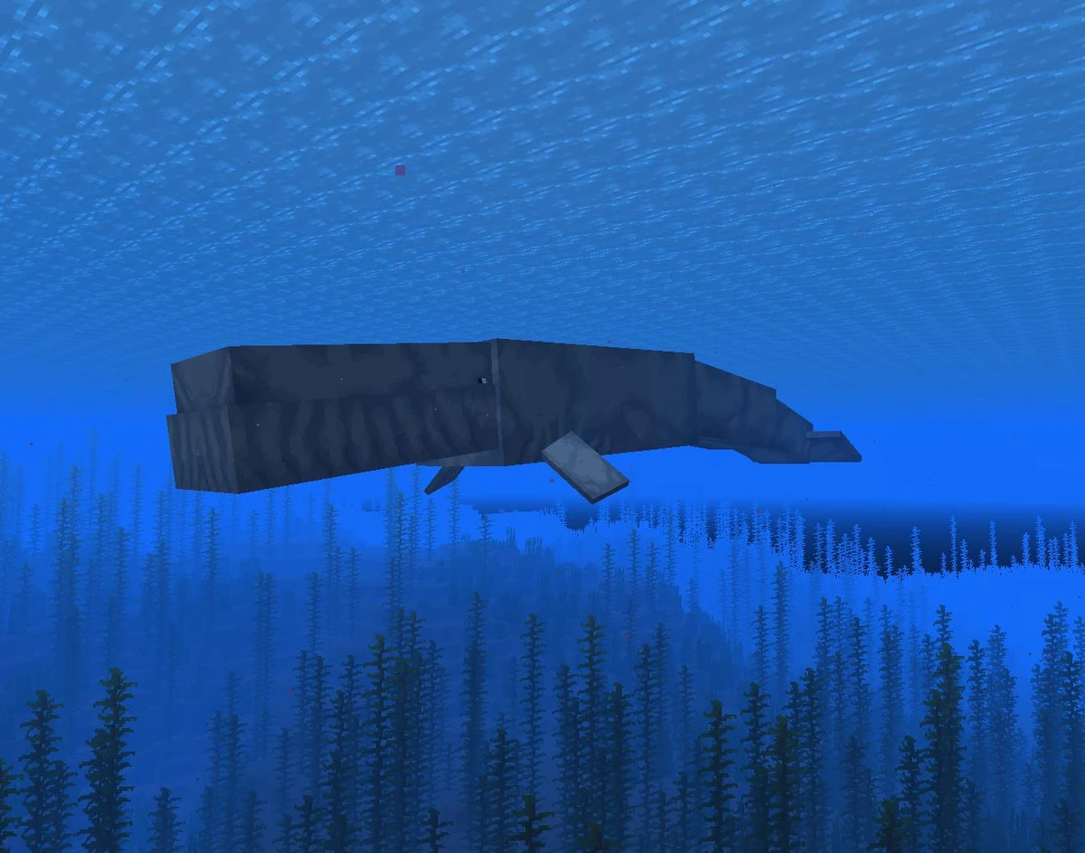 Whale | Minecraft Mobs Wiki | Fandom