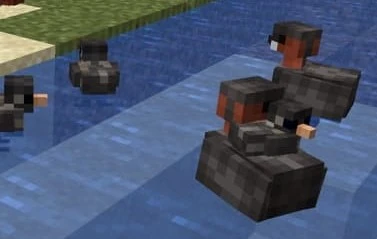 Grebe | Minecraft Mobs Wiki | Fandom