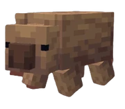 Wombat | Minecraft Mobs Wiki | Fandom