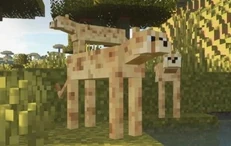 Cheetah | Minecraft Mobs Wiki | Fandom