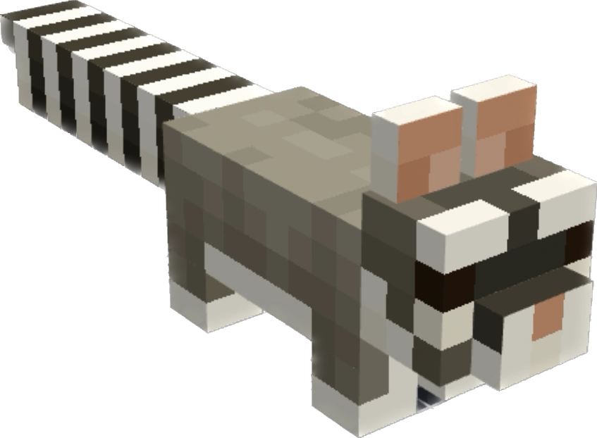 Cacomixtle | Minecraft Mobs Wiki | Fandom