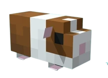Guinea Pig | Minecraft Mobs Wiki | Fandom