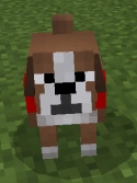Cavalier King Charles Spaniel | Minecraft Mobs Wiki | Fandom