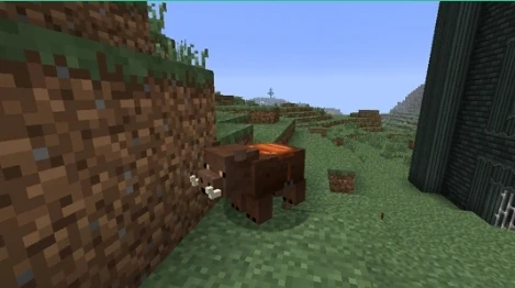 Wild Boar | Minecraft Mobs Wiki | Fandom
