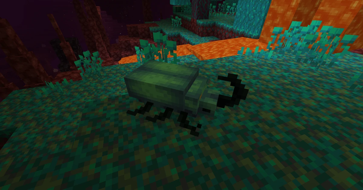 Warpbeetle | Minecraft Mobs Wiki | Fandom