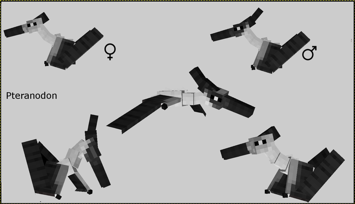 Pteranodon | Minecraft Mobs Wiki | Fandom
