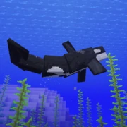 Orca | Minecraft Mobs Wiki | Fandom