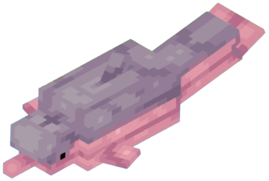 Pink River Dolphin | Minecraft Mobs Wiki | Fandom