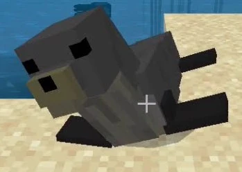 Sea Lion | Minecraft Mobs Wiki | Fandom