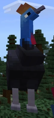Southern Cassowary | Minecraft Mobs Wiki | Fandom