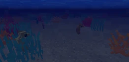 Seahorse | Minecraft Mobs Wiki | Fandom