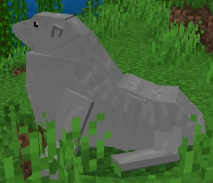 Fur Seal | Minecraft Mobs Wiki | Fandom