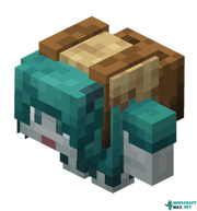 Rascal | Minecraft Mobs Wiki | Fandom