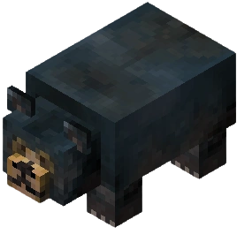 Sun Bear | Minecraft Mobs Wiki | Fandom