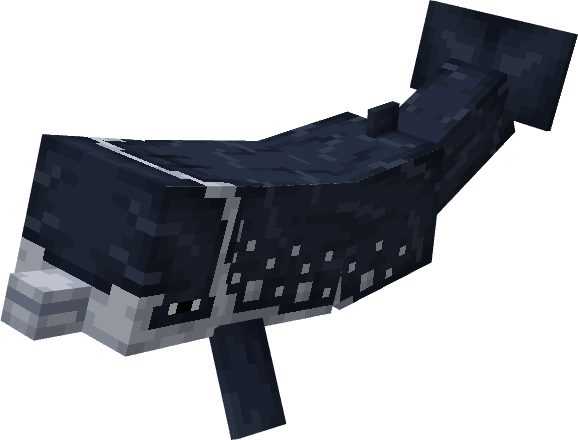 Beaked Whale | Minecraft Mobs Wiki | Fandom