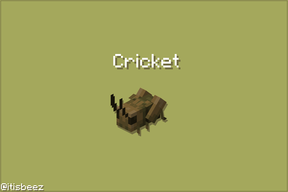 Cricket | Minecraft Mobs Wiki | Fandom